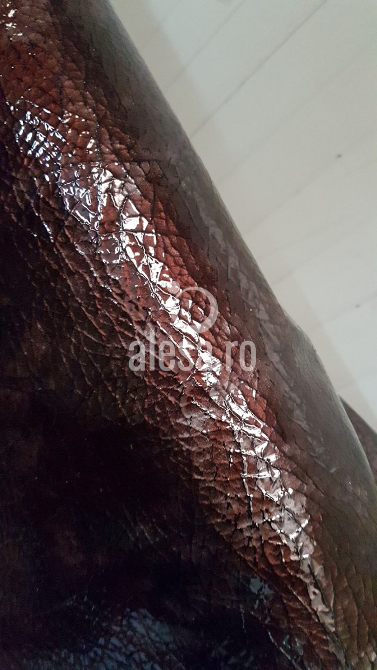 Poze cu pielea de zilele acestea…