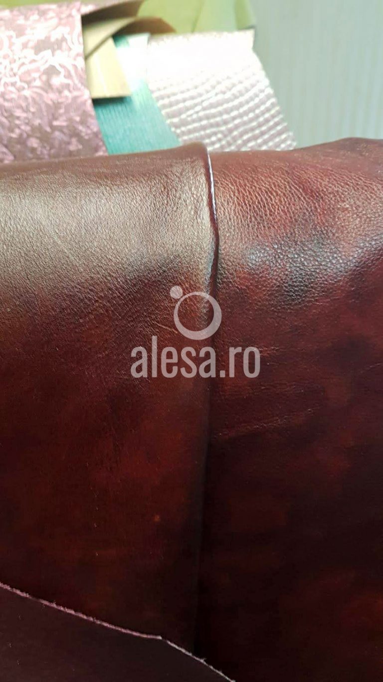 Poze cu pielea de zilele acestea…